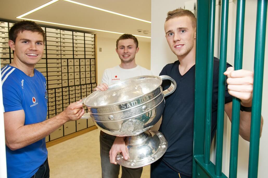 Dublin football stars keep Sam safe with Sentinel Vaults! - Sentinel Vaults